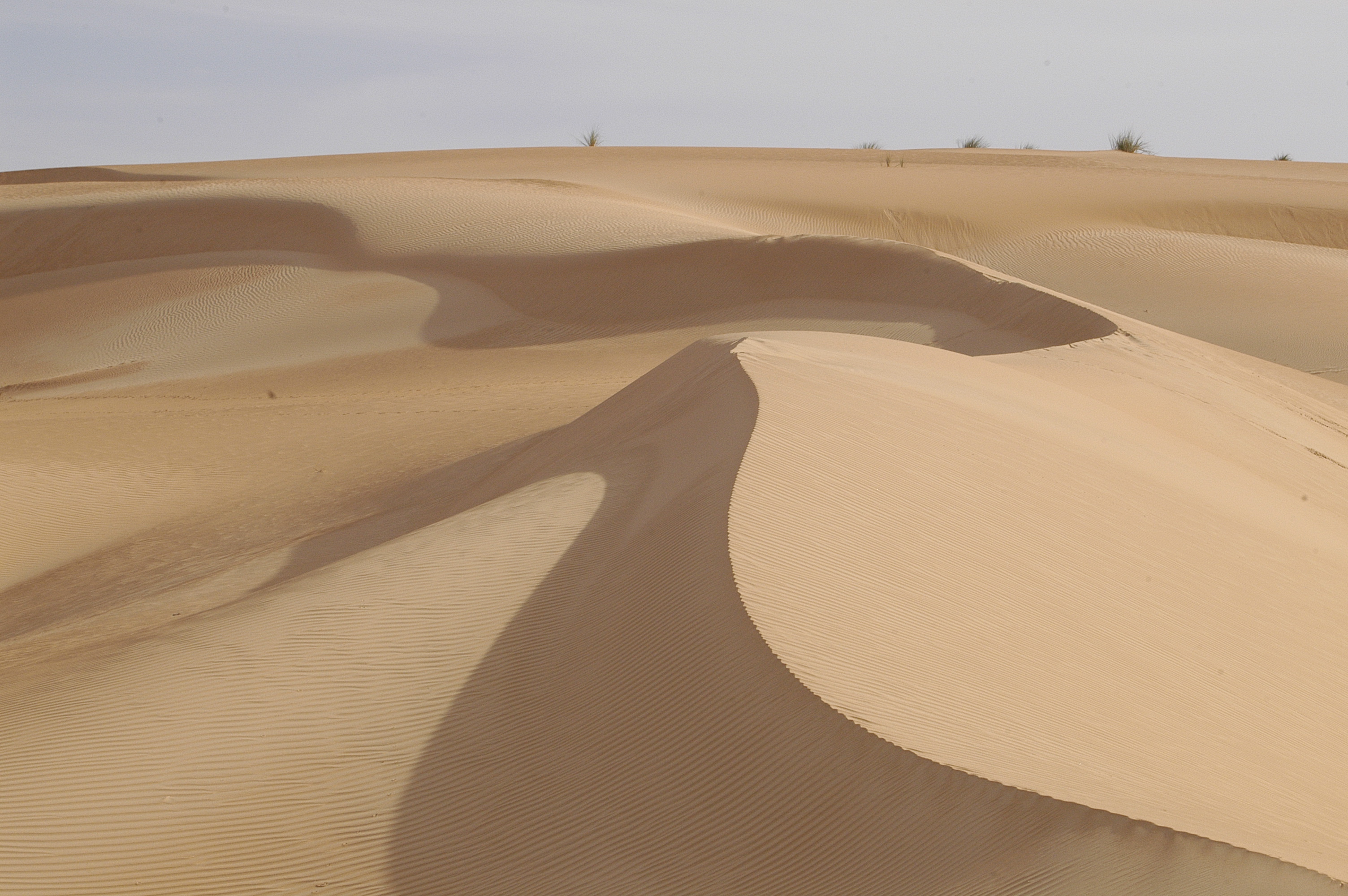 ERGS, REGS, DJEBELS,… | INSPIR